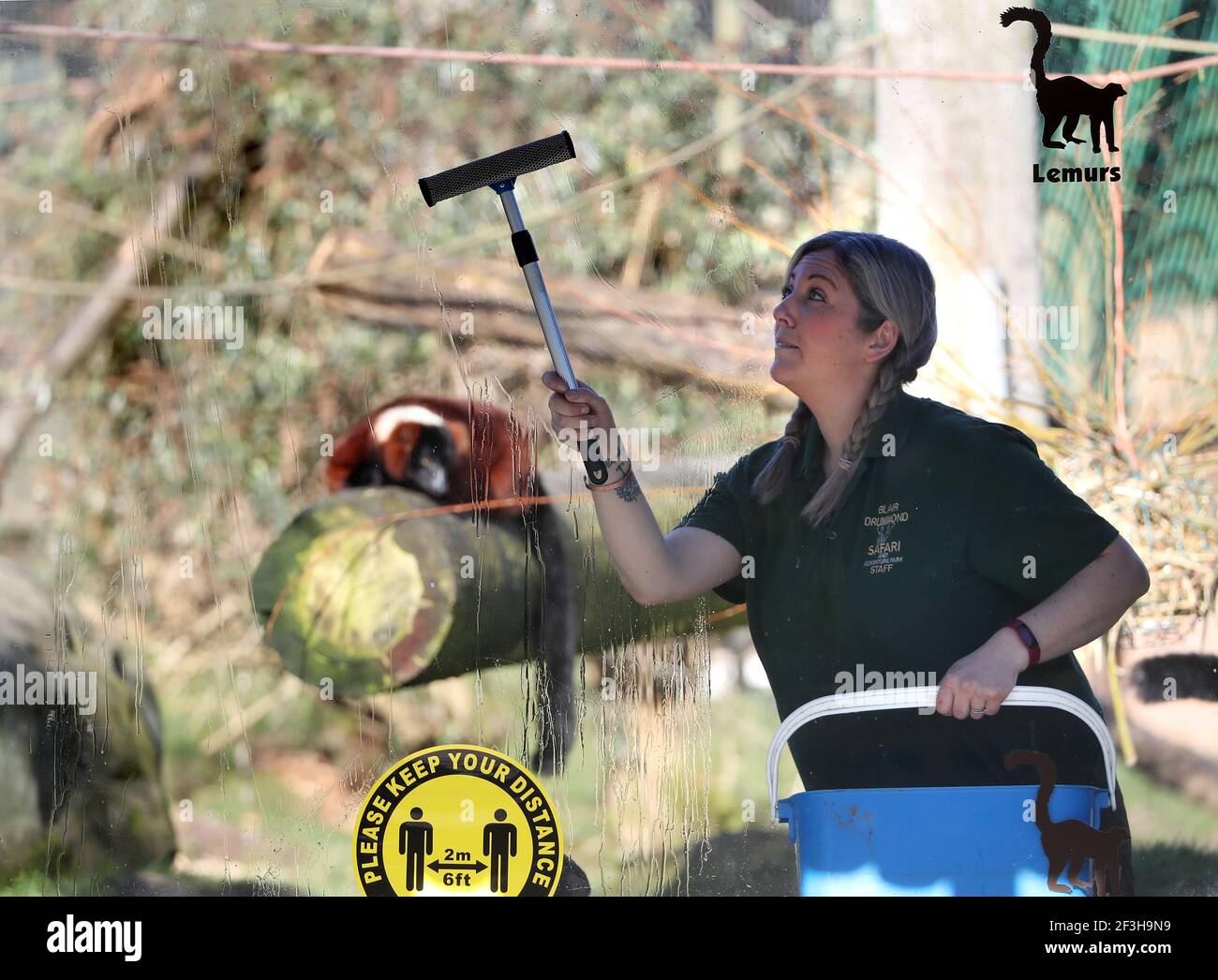 Carolyn Booth cleans the windows at the red ruffed lemur section at ...