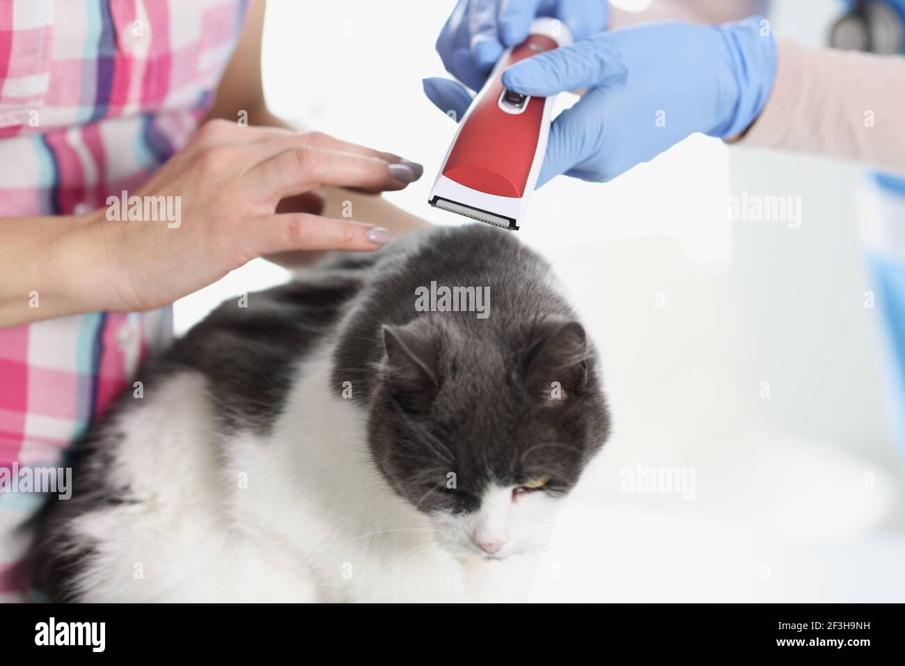 Professional shearing hi-res stock photography and images - Alamy