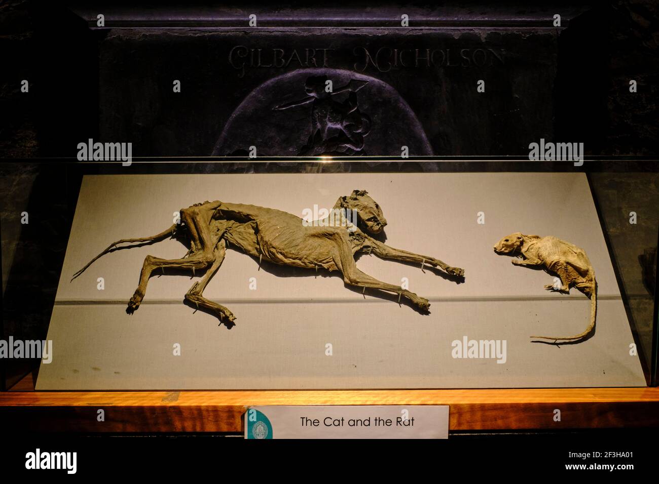 Republic of Ireland; Dublin, interior of Christ Church Cathedral, the ...