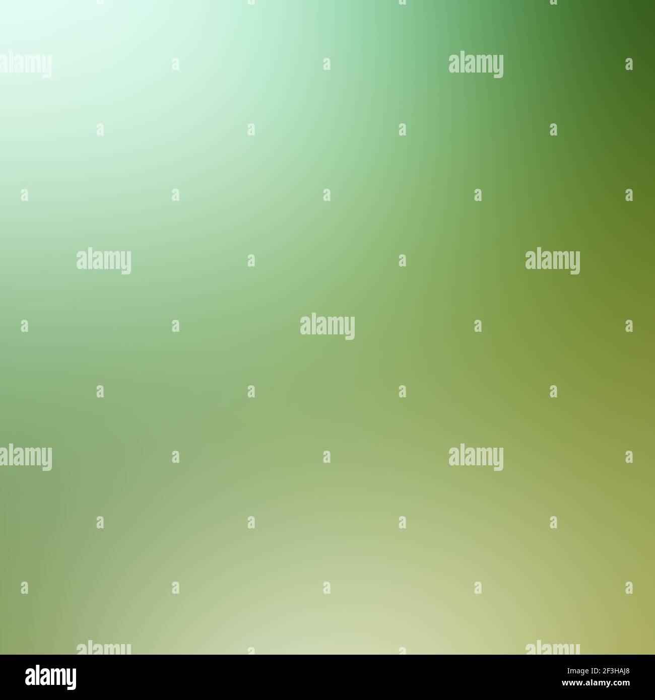 Light green gradient abstract background Stock Photo - Alamy