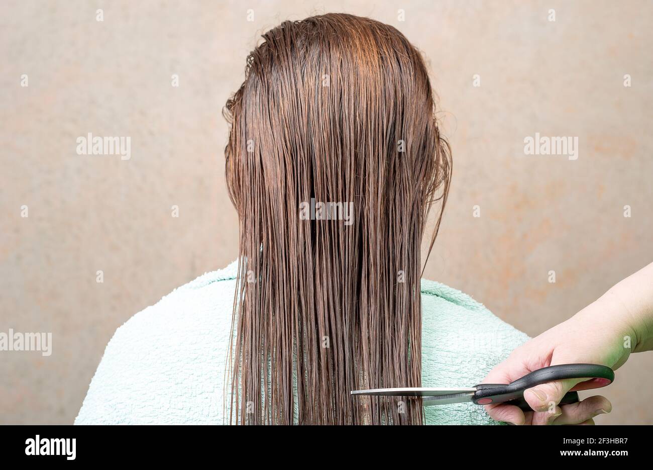 Cutting wet hair scissors closeup hi-res stock photography and images ...