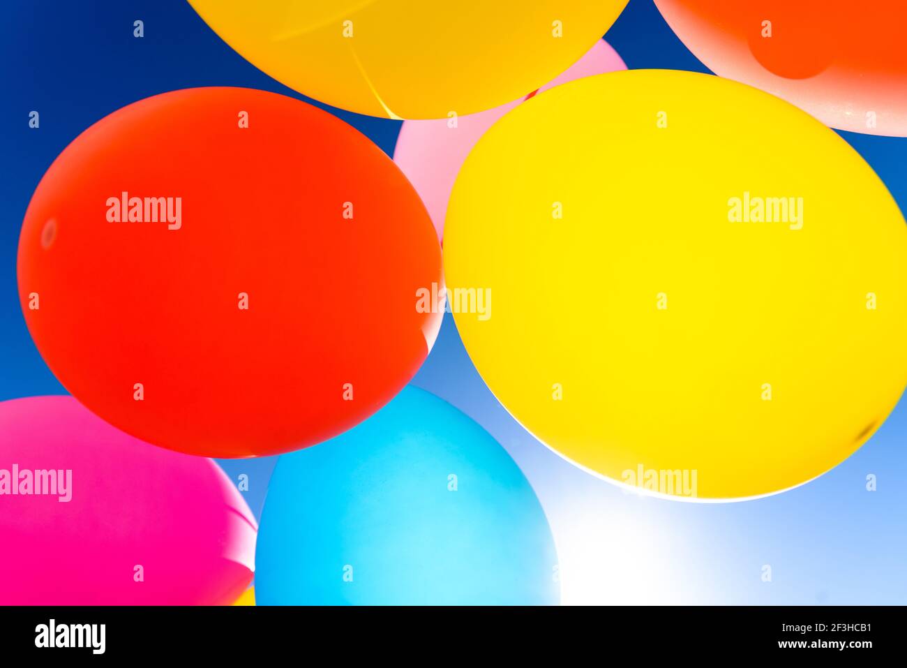 Pretty sunlit solid color balloons viewed from below with blue sky ...