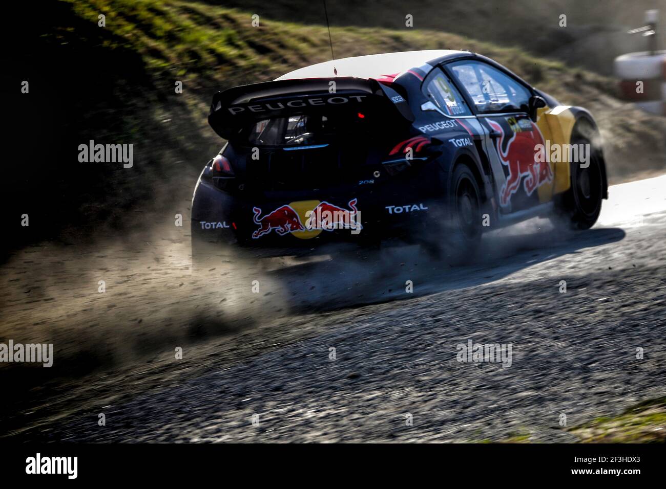 09 LOEB Sebastien (FRA) Team Peugeot Total Peugeot 208, action, during ...
