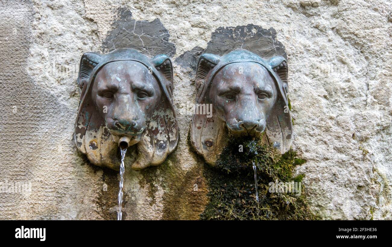 Stylized lion heads hi-res stock photography and images - Alamy