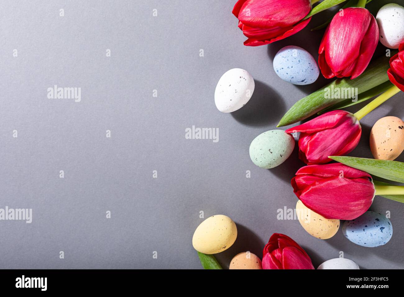 Pink tulips over gray background Stock Photo - Alamy