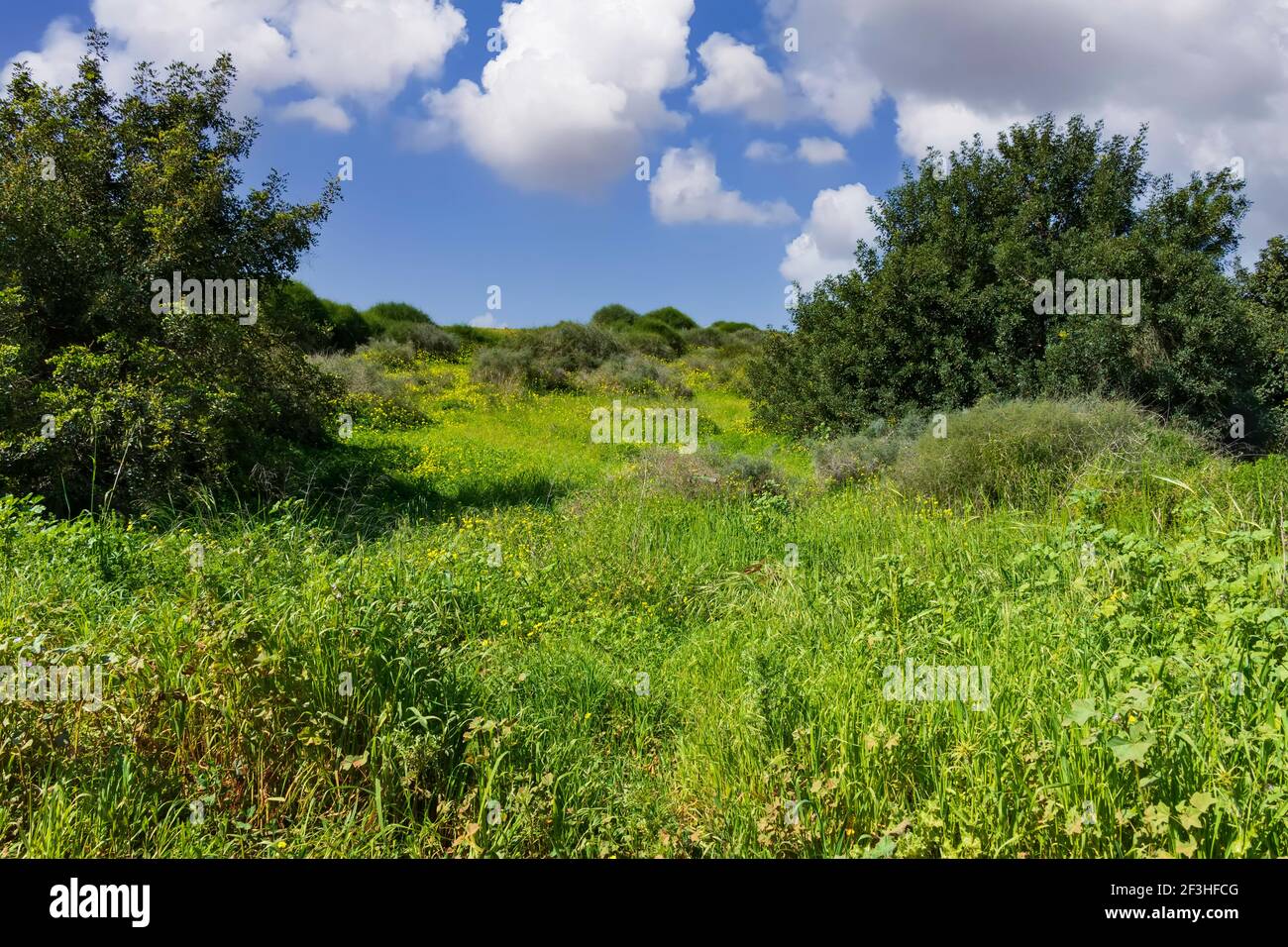 Horizon field hi-res stock photography and images - Alamy