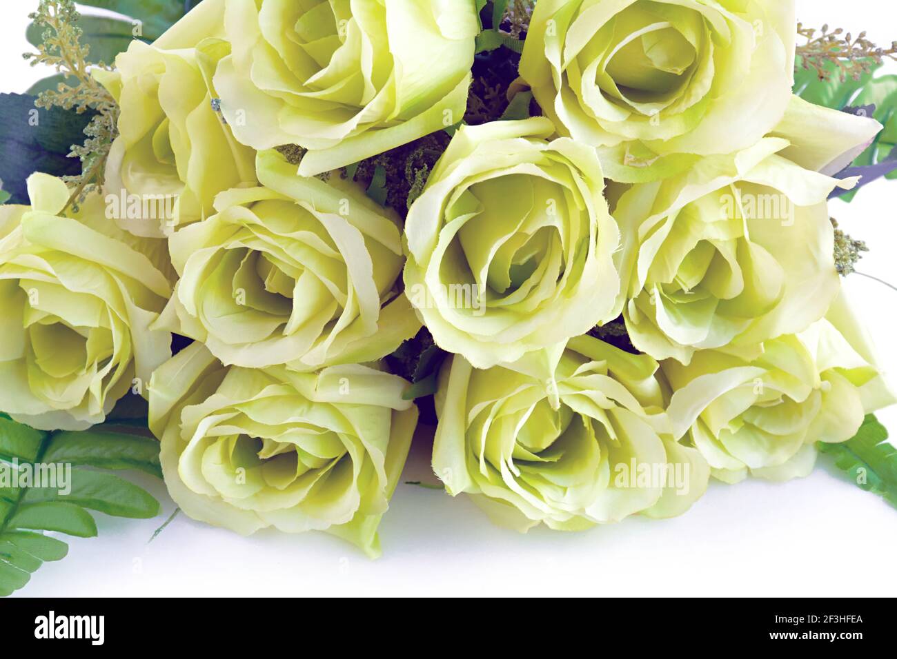 Green rose bouquet on white background - retro style lighting effect ...
