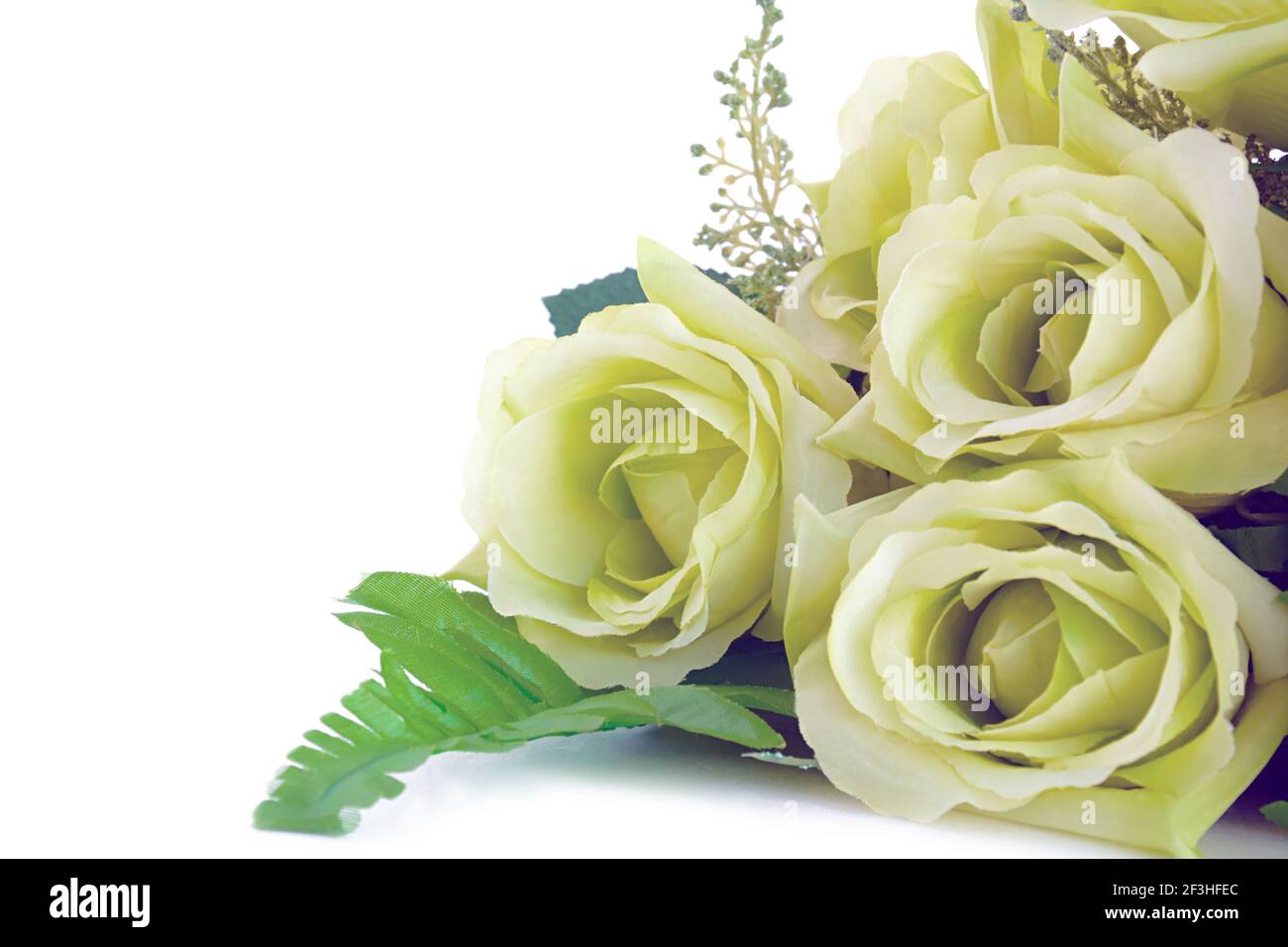 Green rose bouquet on white background - retro style lighting effect ...