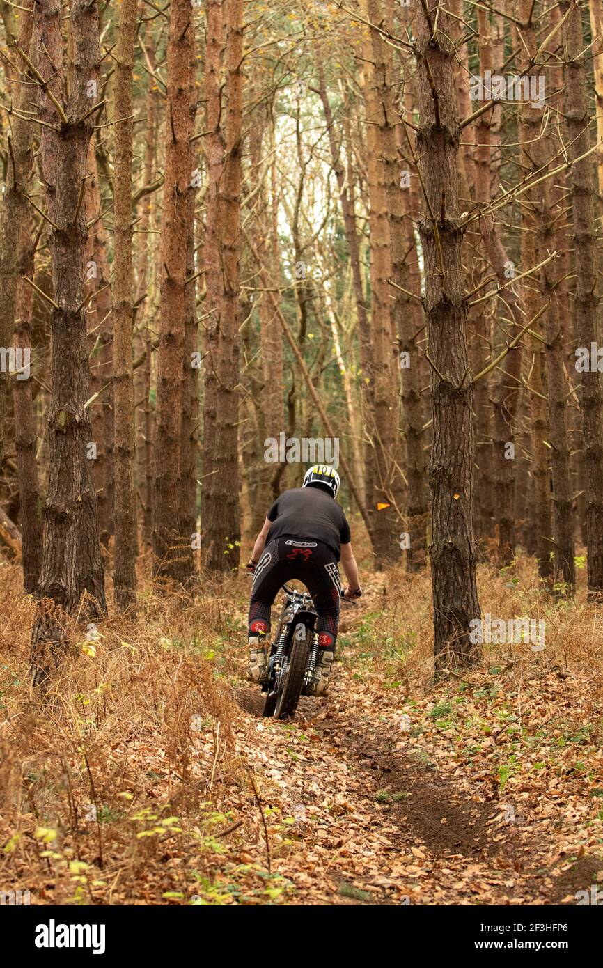 Motorcycle trials rider standing up between sections Stock Photo - Alamy
