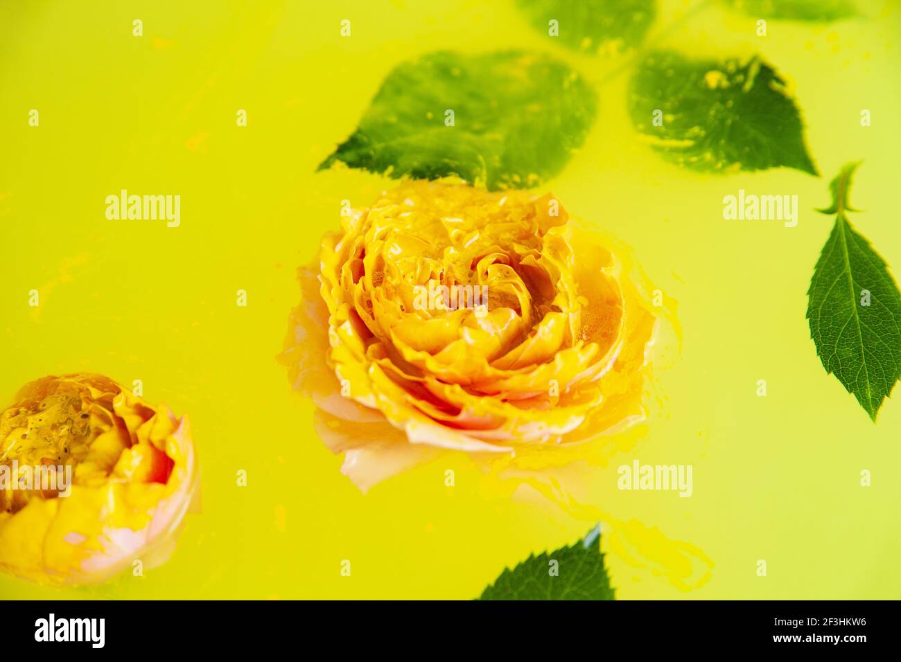 Rose water spa hi-res stock photography and images - Alamy