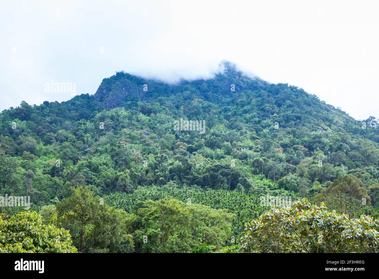 Natural mountainscape in kodikuthimala, Kerala India Stock Photo - Alamy