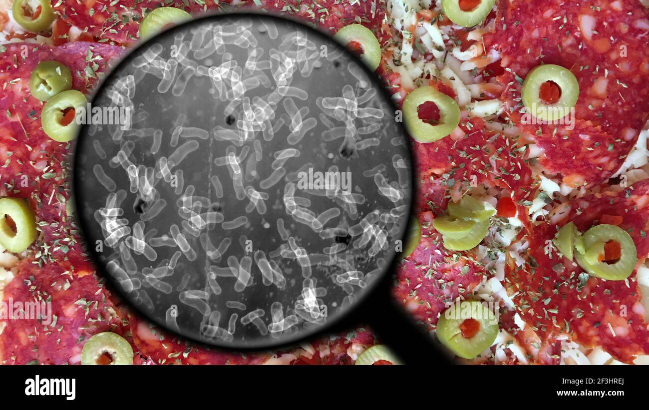 Searching for bacteria in food Stock Photo - Alamy