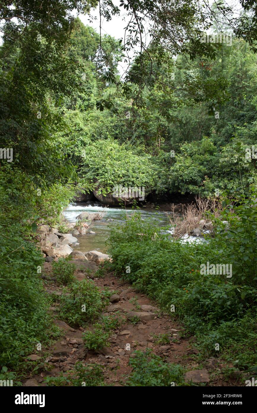 Natural river with park in kerala, India Stock Photo - Alamy