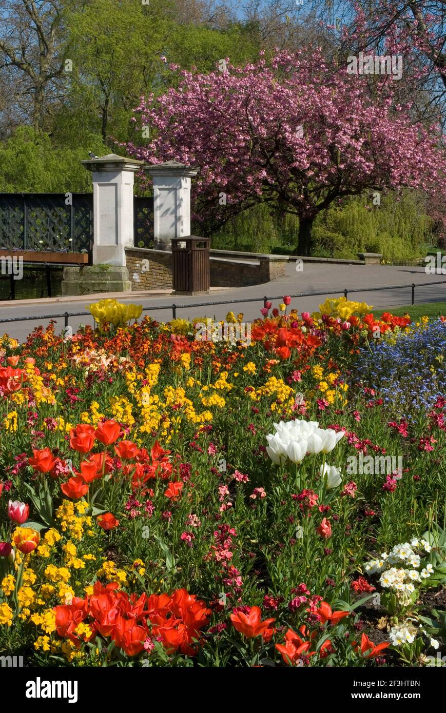 Spectacular spring floral, Regent's Park, London, NW1, England | NONE ...