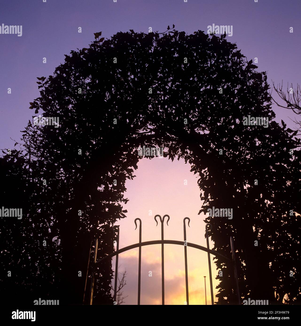 Gate in the hedge hi-res stock photography and images - Alamy