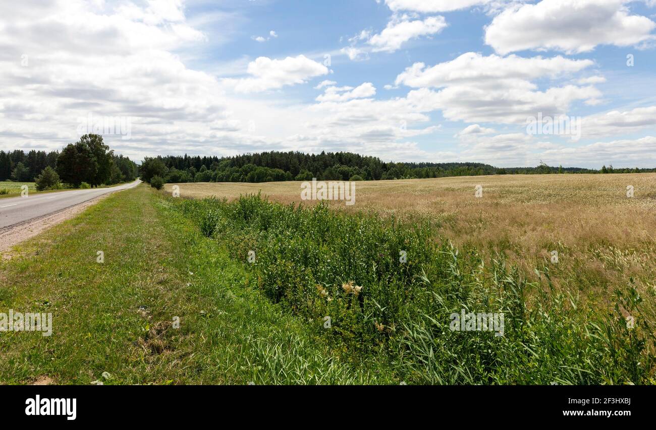 Summer or Spring landscape Stock Photo - Alamy