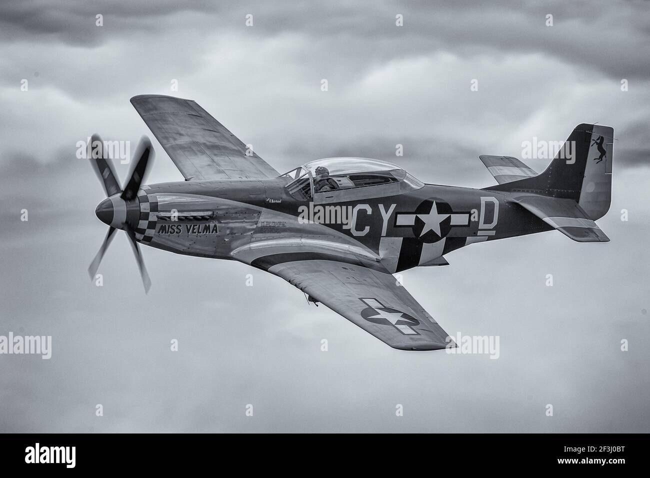 North American TF51D Mustang in flight at Oostwold Airshow Stock Photo ...