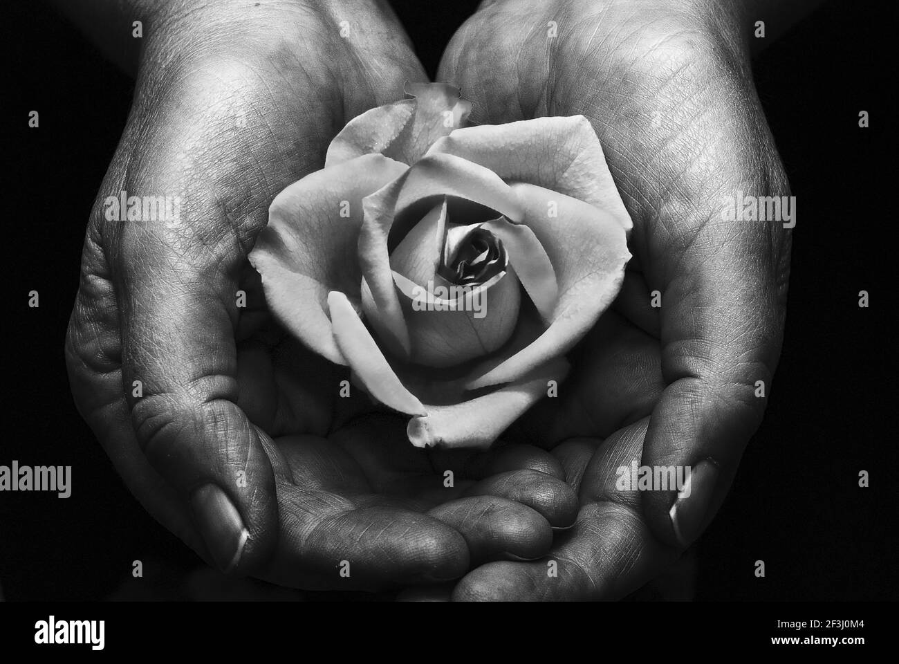 Floral joy Black and White Stock Photos & Images - Alamy