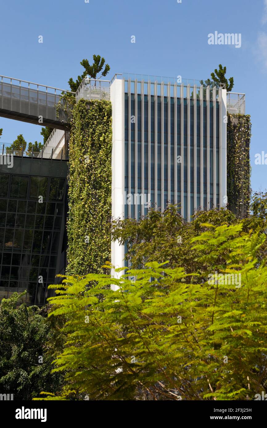 School of the Arts Singapore (SOTA) by WOHA, Singapore. Arts school for ...