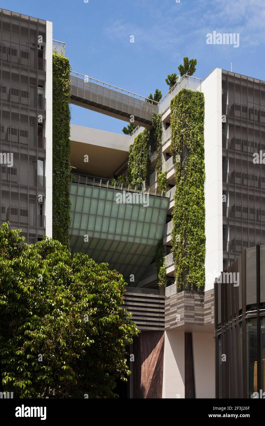 School of the Arts Singapore (SOTA) by WOHA, Singapore. Arts school for ...