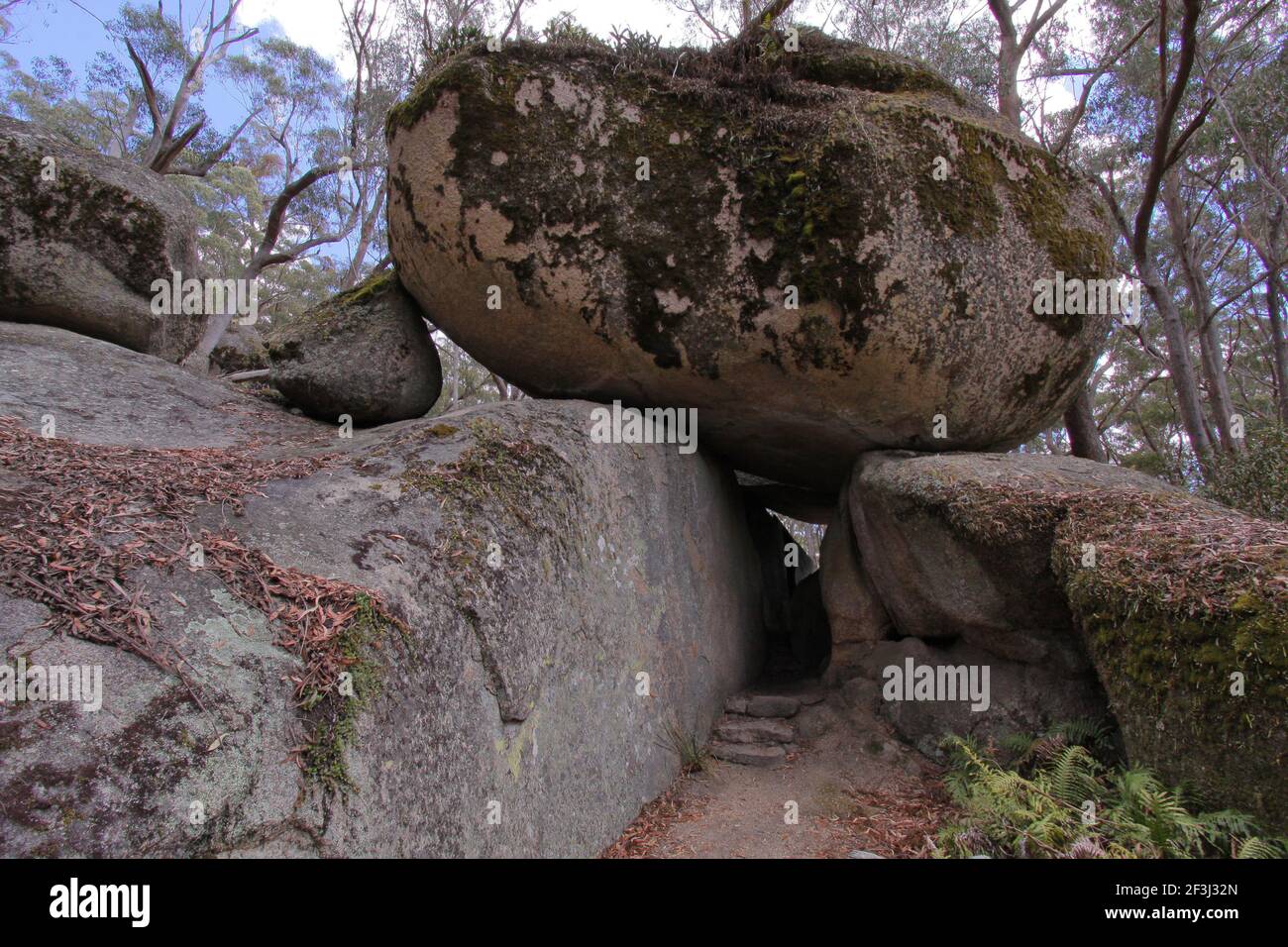 South bald rock national park hi-res stock photography and images - Alamy