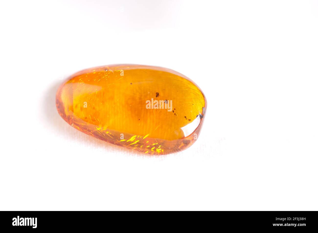amber with insect fossillized inside the crystal, science Stock Photo ...