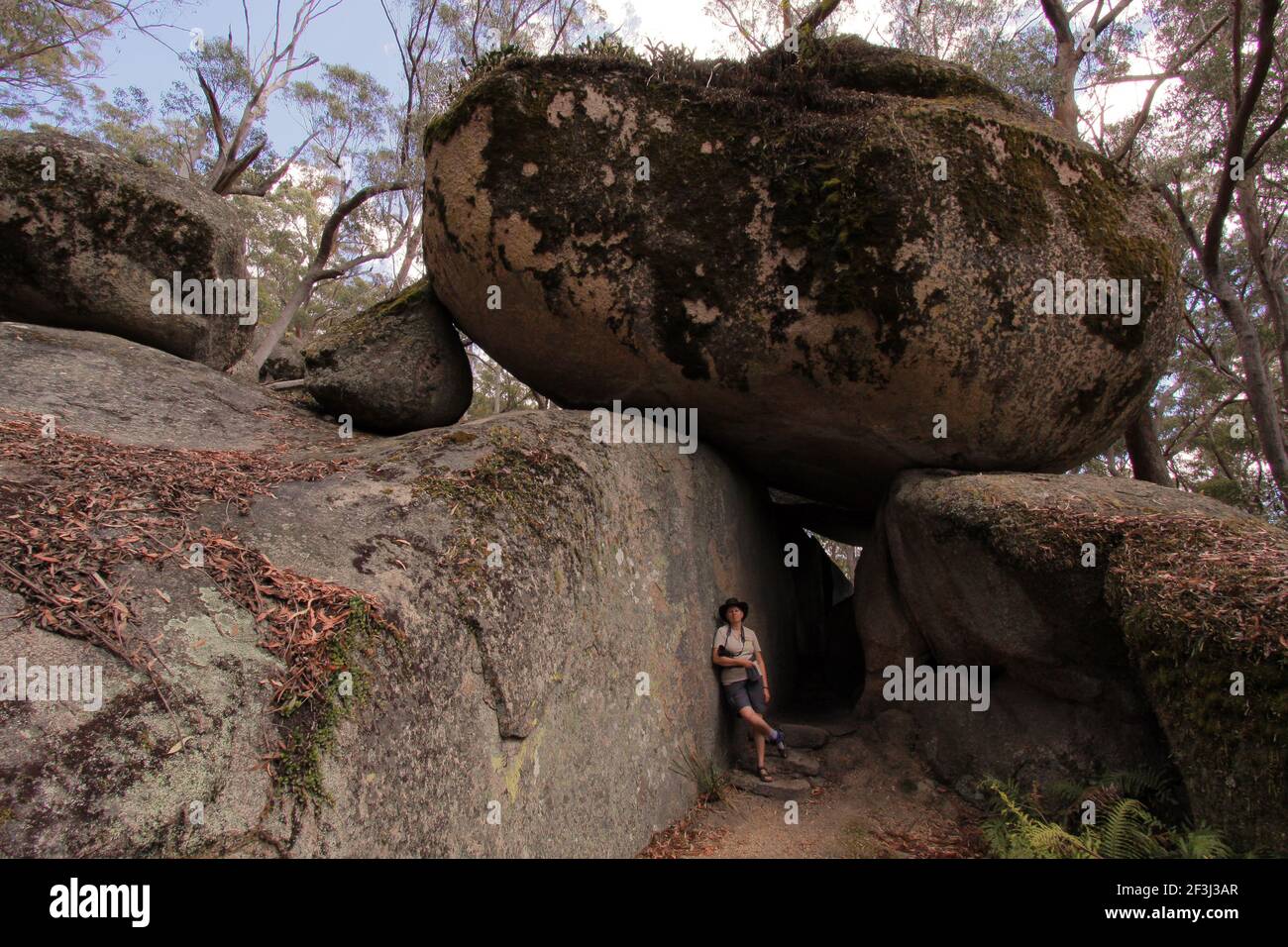 South bald rock national park hi-res stock photography and images - Alamy