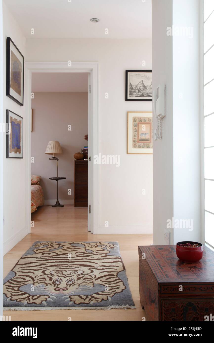 Tiger rug on floor of corridor | Architect: Silk Mews Architects ...