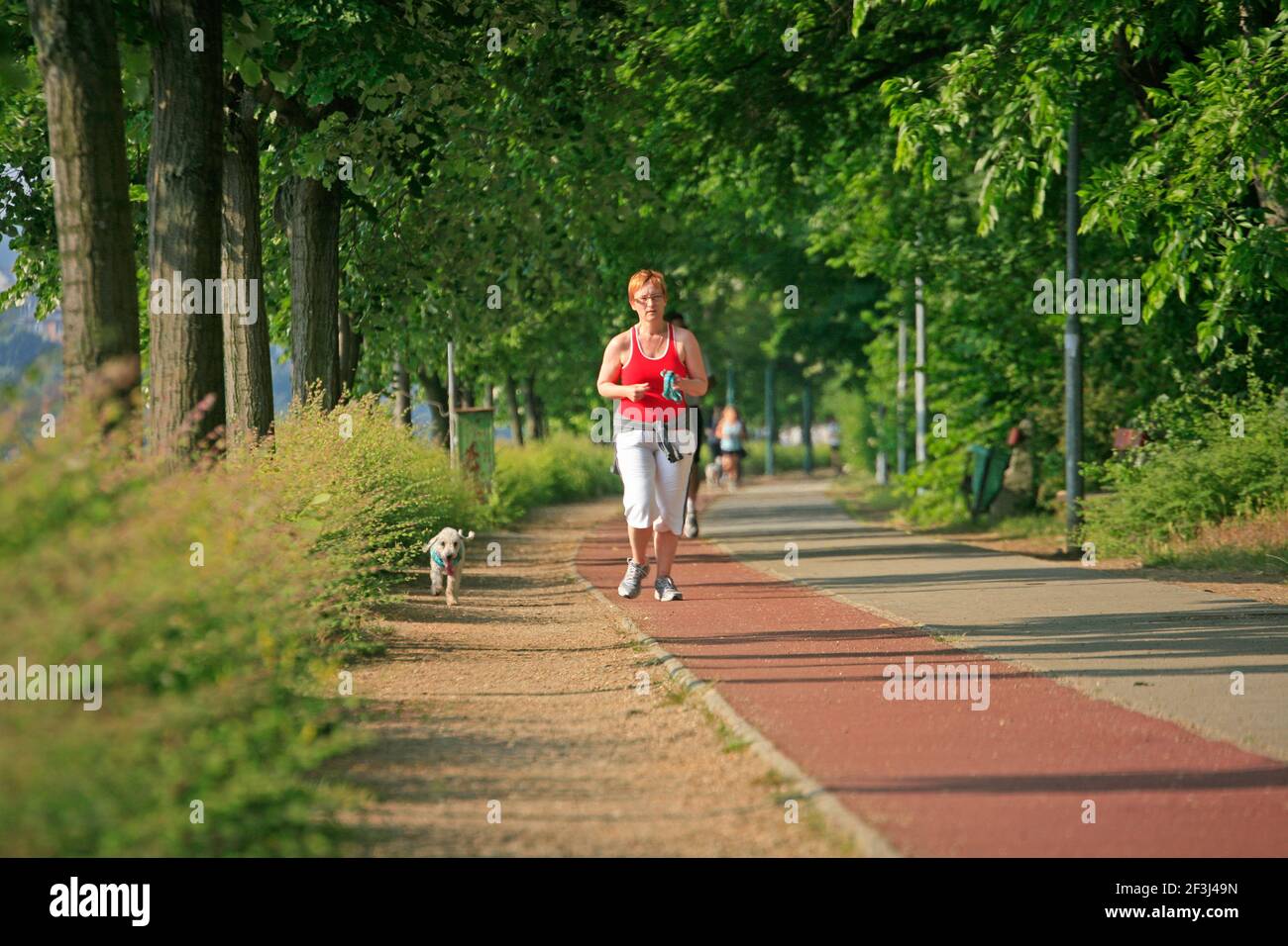 Margit Island jogging trails are in great use among both locals and ...
