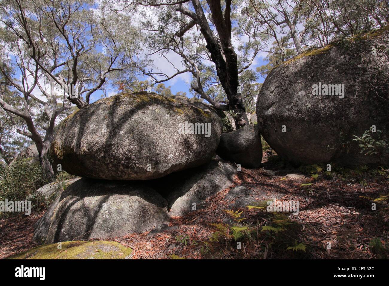 South bald rock national park hi-res stock photography and images - Alamy