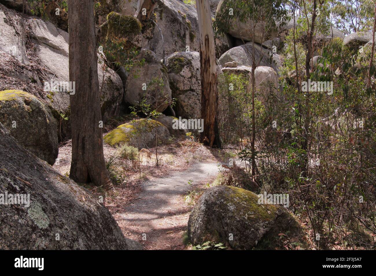 South bald rock national park hi-res stock photography and images - Alamy