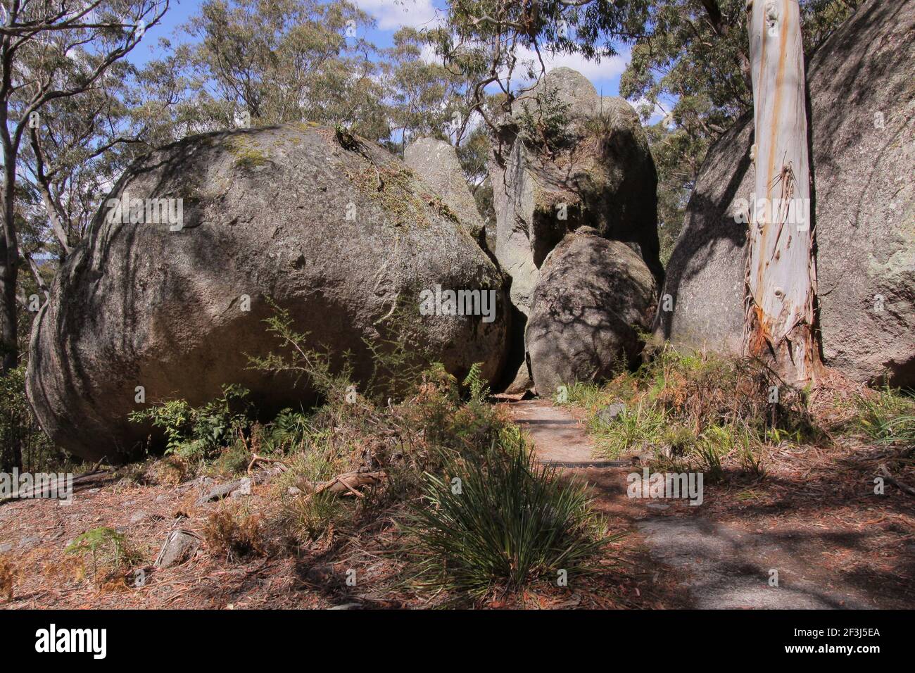 Bald Rock National Park in New South Wales, Australia Stock Photo - Alamy