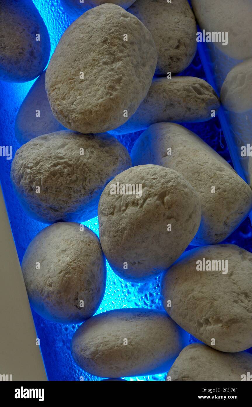 The Z58 Building, Shanghai, designed for a lighting products company by ...