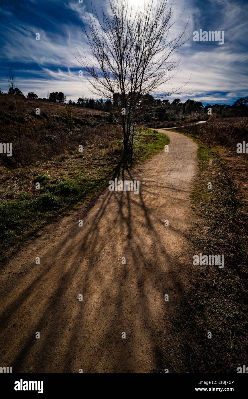 Afternoon light throws a tree's shadow on a path in Catalonia Stock ...