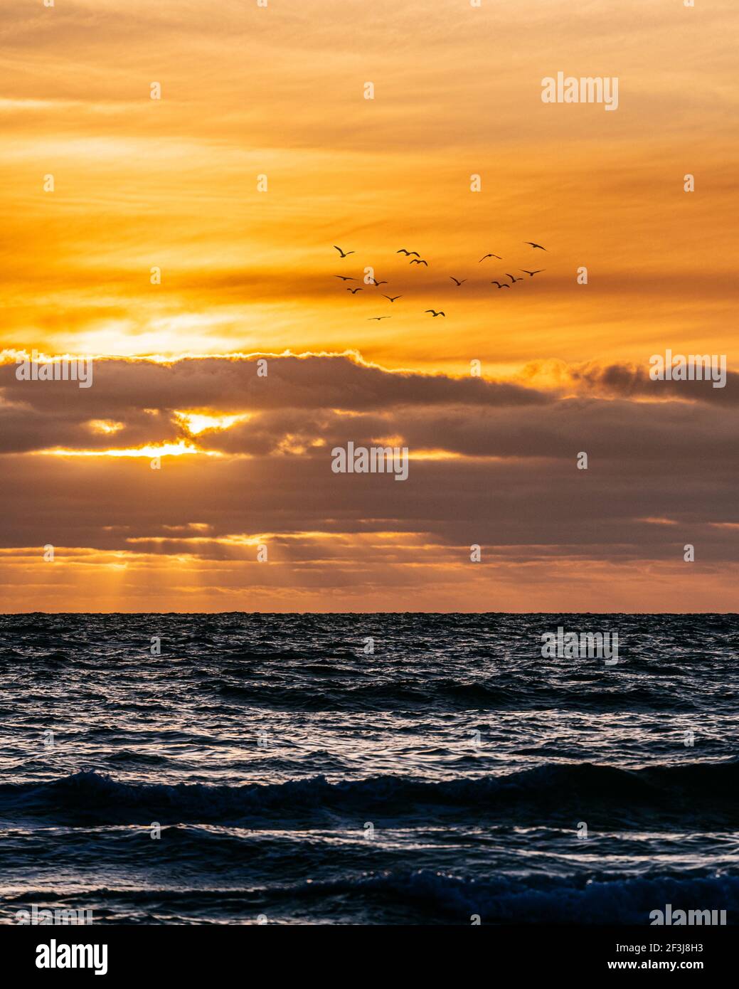 Birds flying past the sun hi-res stock photography and images - Alamy