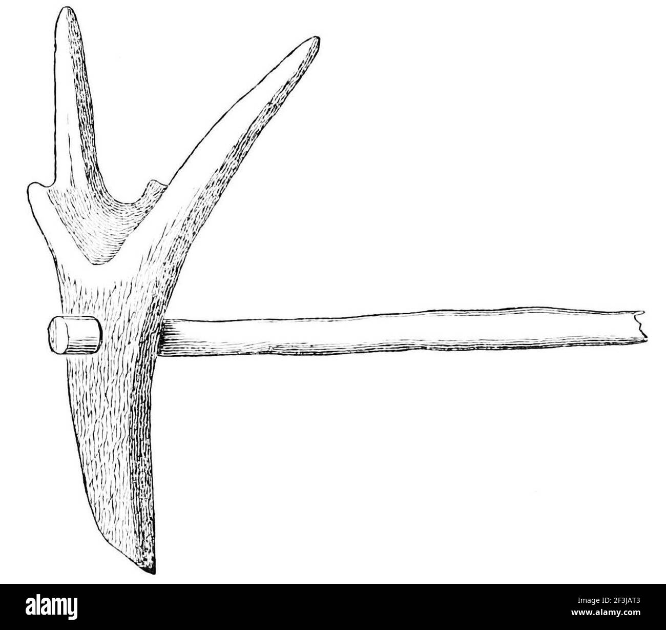 Ancient agricultural or skinning tool Stock Photo - Alamy