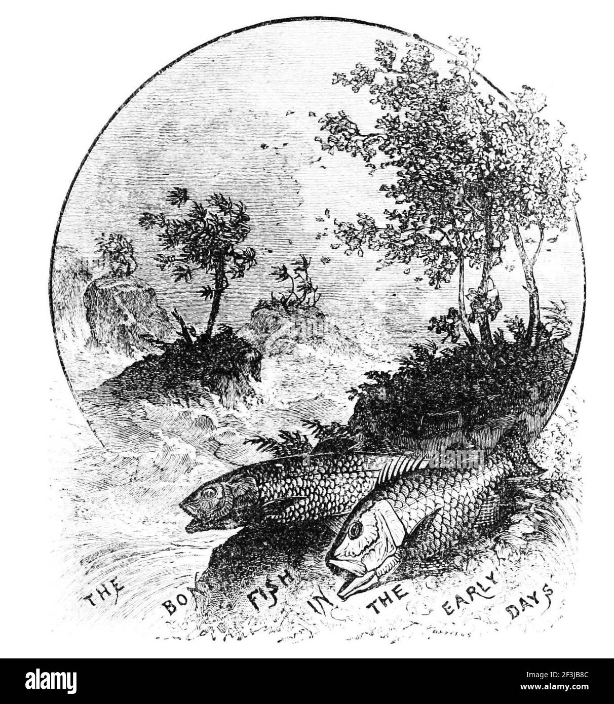 He attempts Cut Out Stock Images & Pictures - Alamy