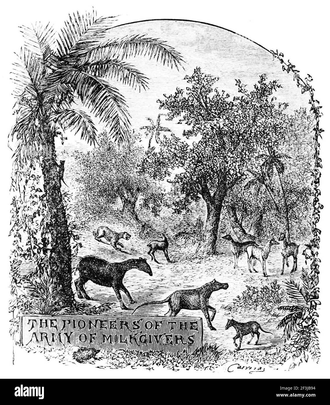 First pioneers Cut Out Stock Images & Pictures - Alamy