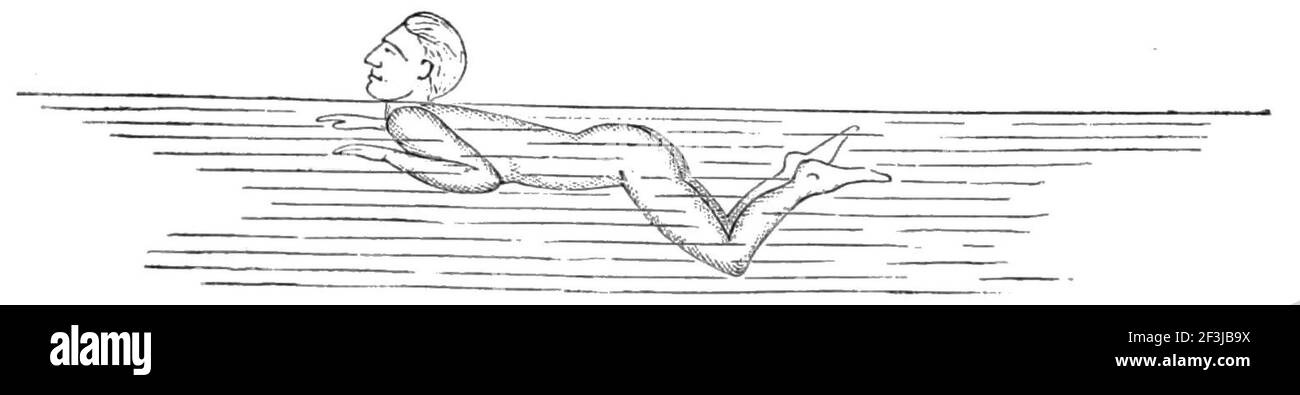 Head position when swimming Stock Photo - Alamy