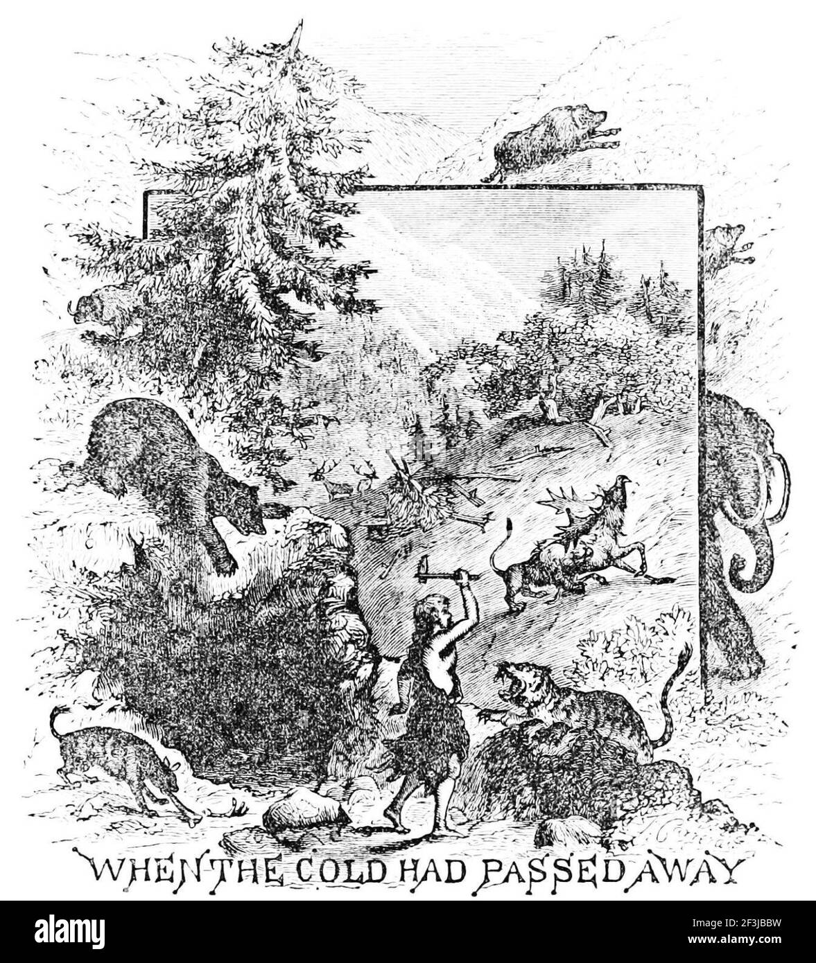 What Is The Opposite Of The Ice Age at Donald Mccann blog