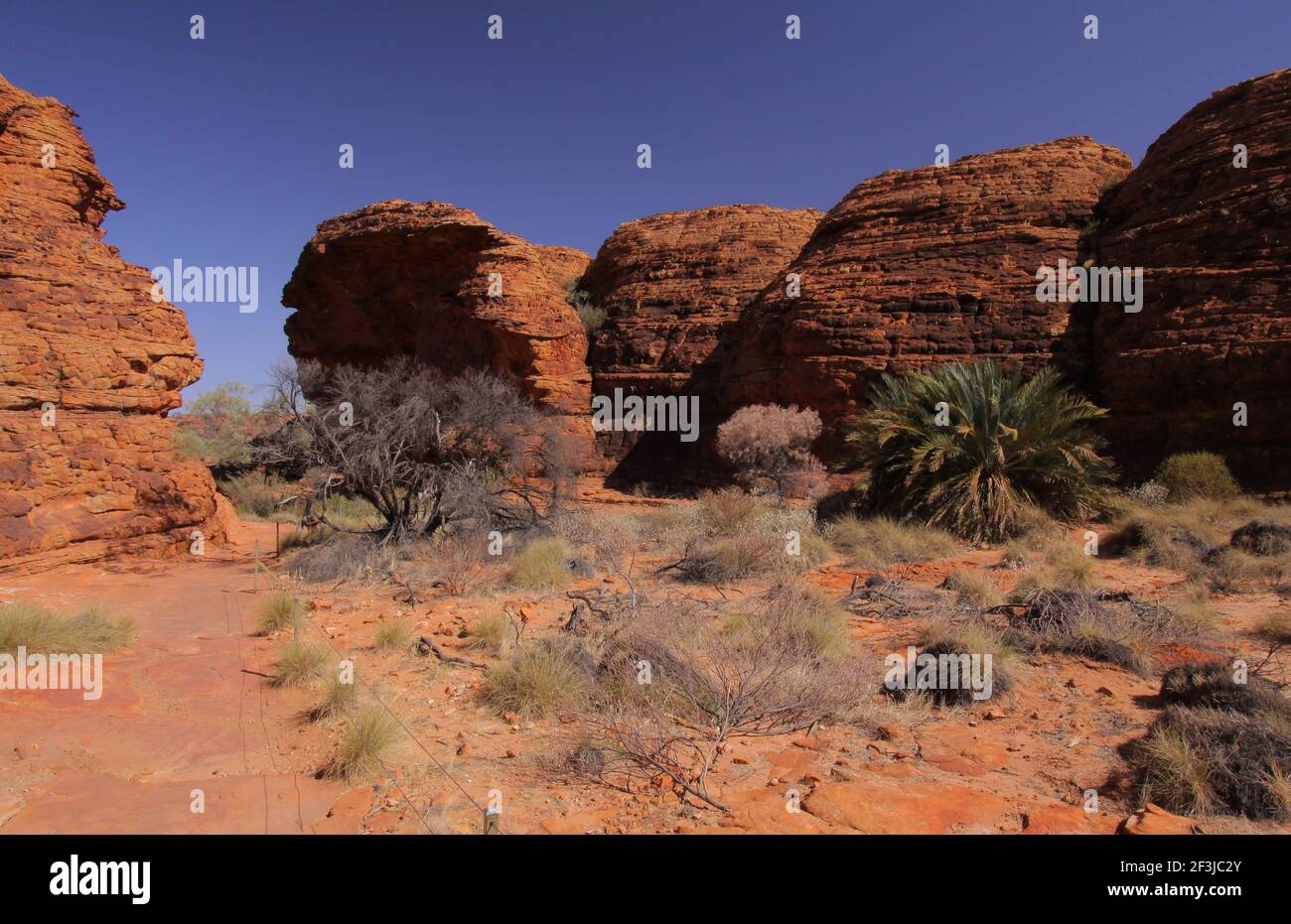 Kings Canyon National Park in Northern Territory in Australia Stock ...