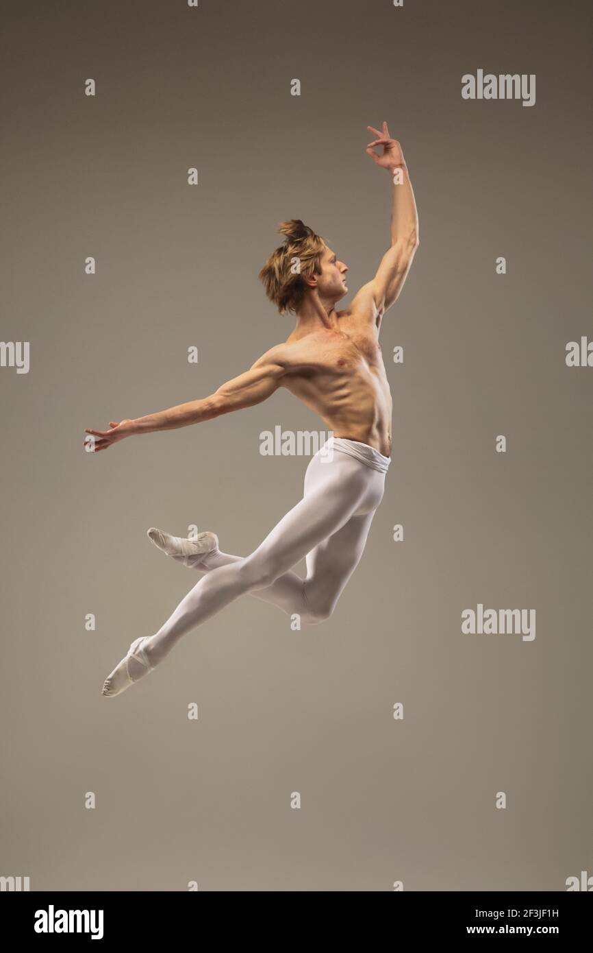 Muscular. Young and graceful ballet dancer isolated on studio ...