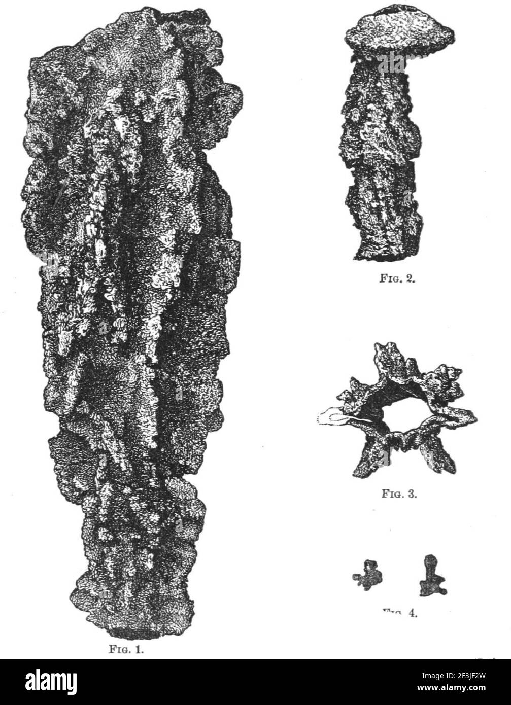 Fulgurite hi-res stock photography and images - Alamy