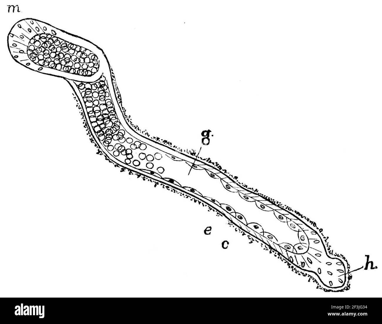 Eventually got the Black and White Stock Photos & Images - Alamy