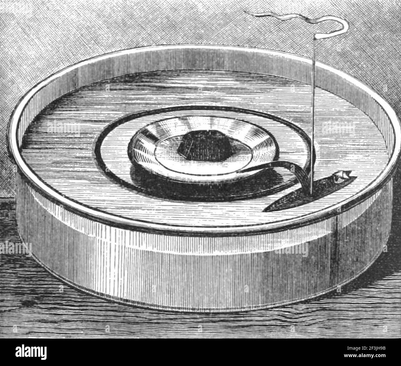 Experiment of surface tension and weight on water Stock Photo - Alamy