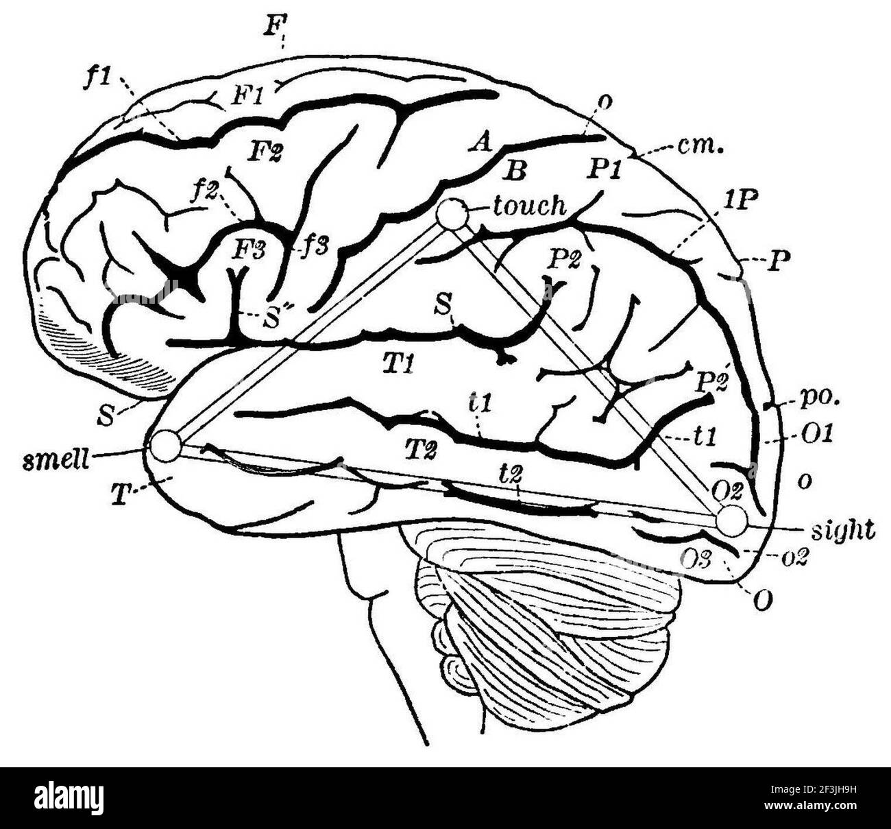 Mental pictures Black and White Stock Photos & Images - Alamy