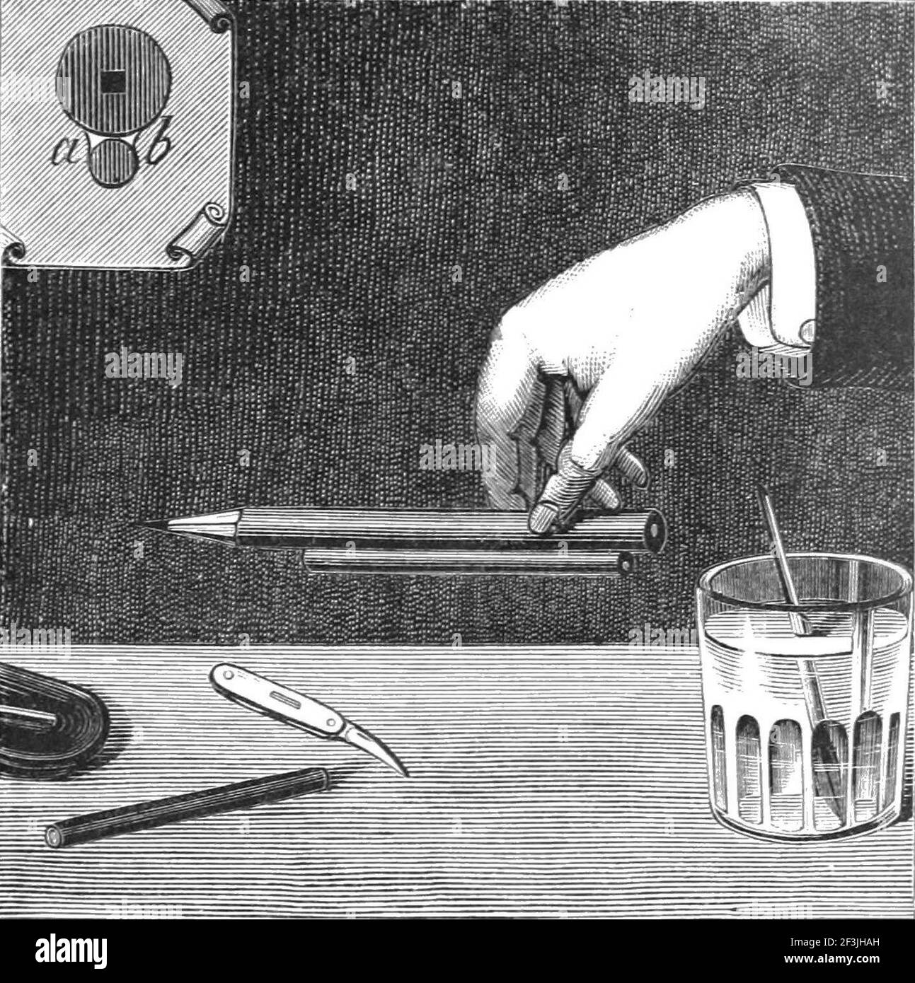 Adherence example by the concave surface tension of water Stock Photo ...