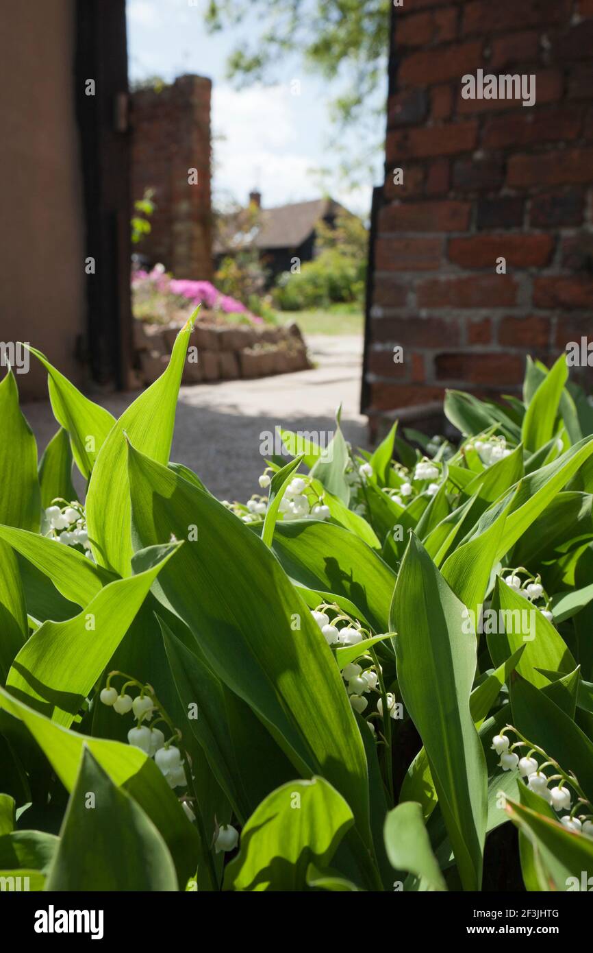 Wickham place farm hi-res stock photography and images - Alamy