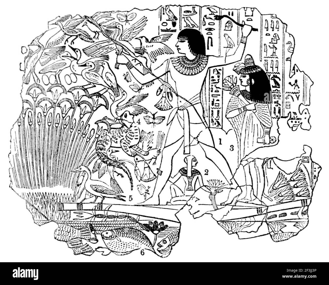 An egyptian fowling scene Stock Photo - Alamy