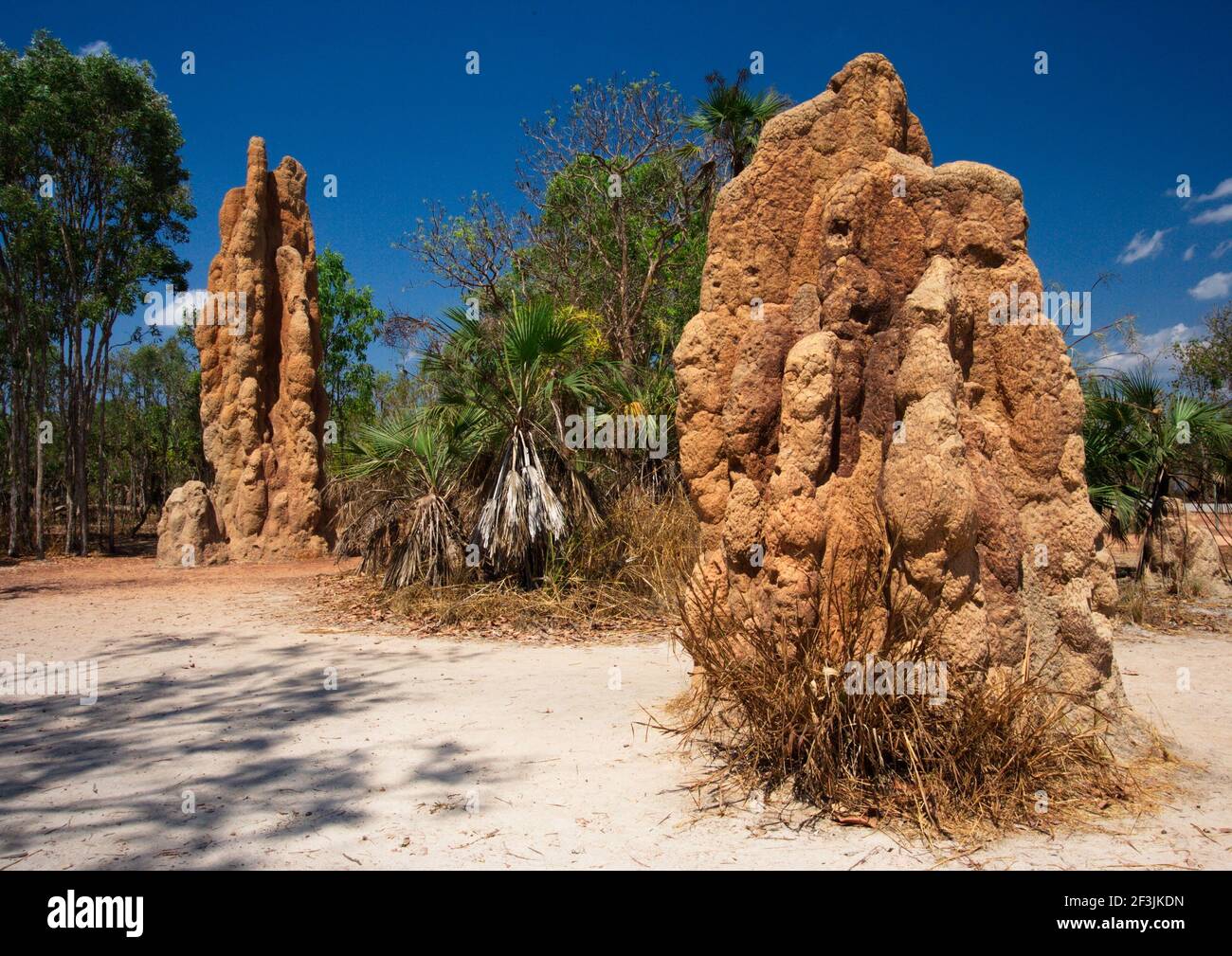 Magnetic Termite Mounds in Litchfield National Park in Northern ...